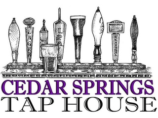Cedar Springs Tap House gives the old sports bar a craft beer spin ...