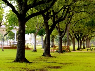 Fourth Semi-Annual Friendswood Arts Market - Event -CultureMap Houston